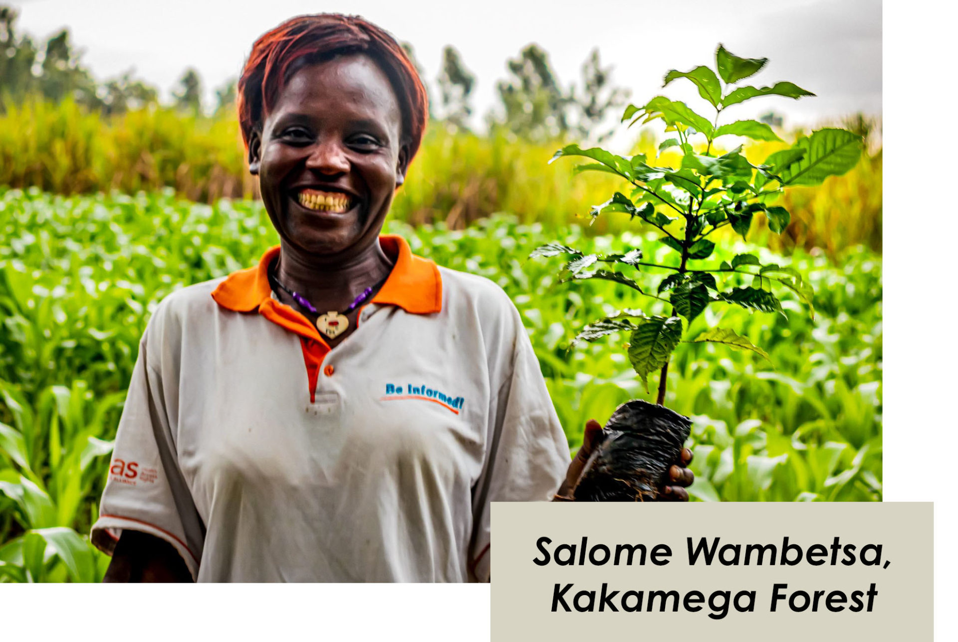 ITF Partnership | Solder Connection | Restoring Ecosystems